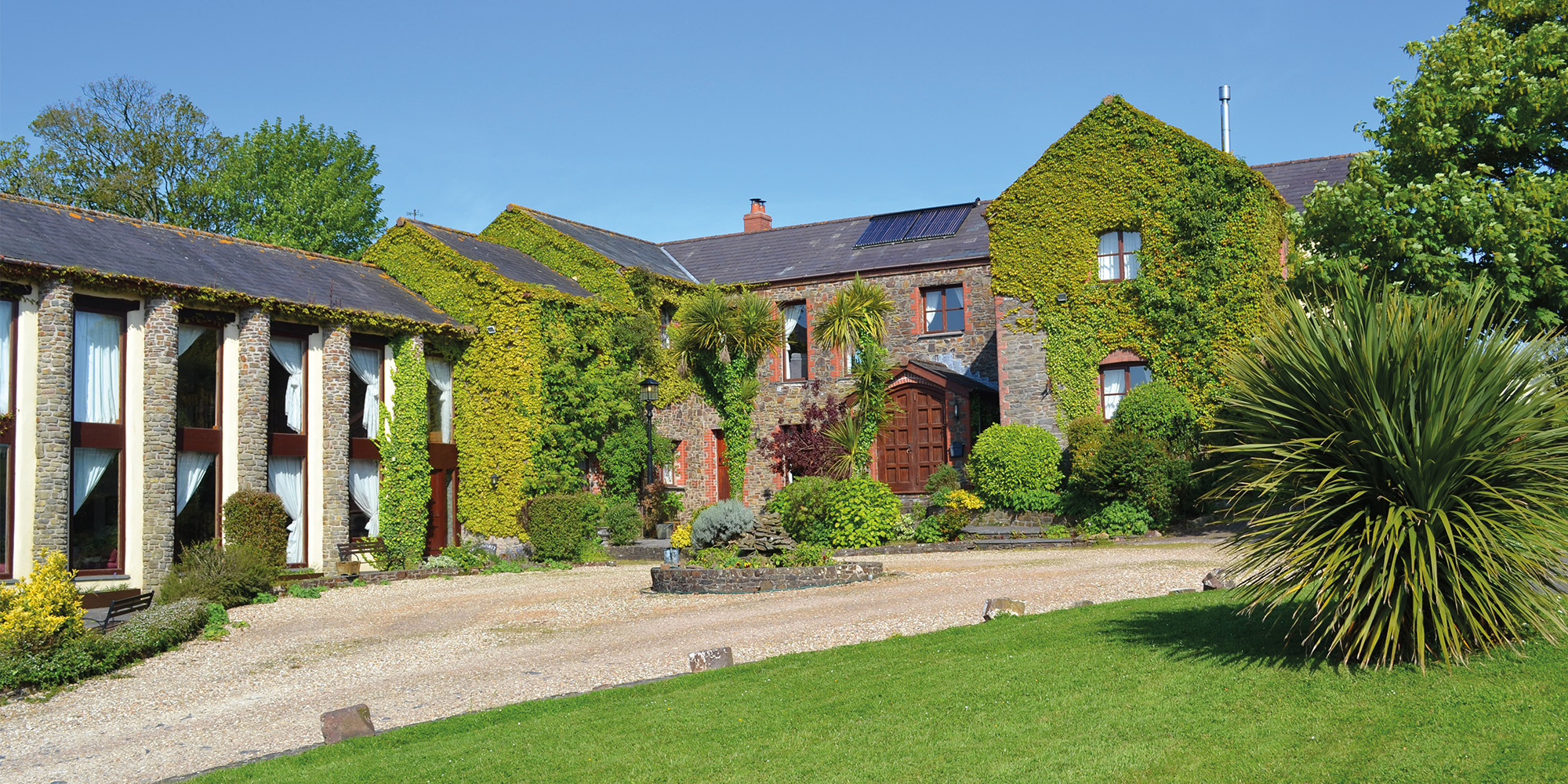 The road to recovery at Regain Recovery | Devon Living