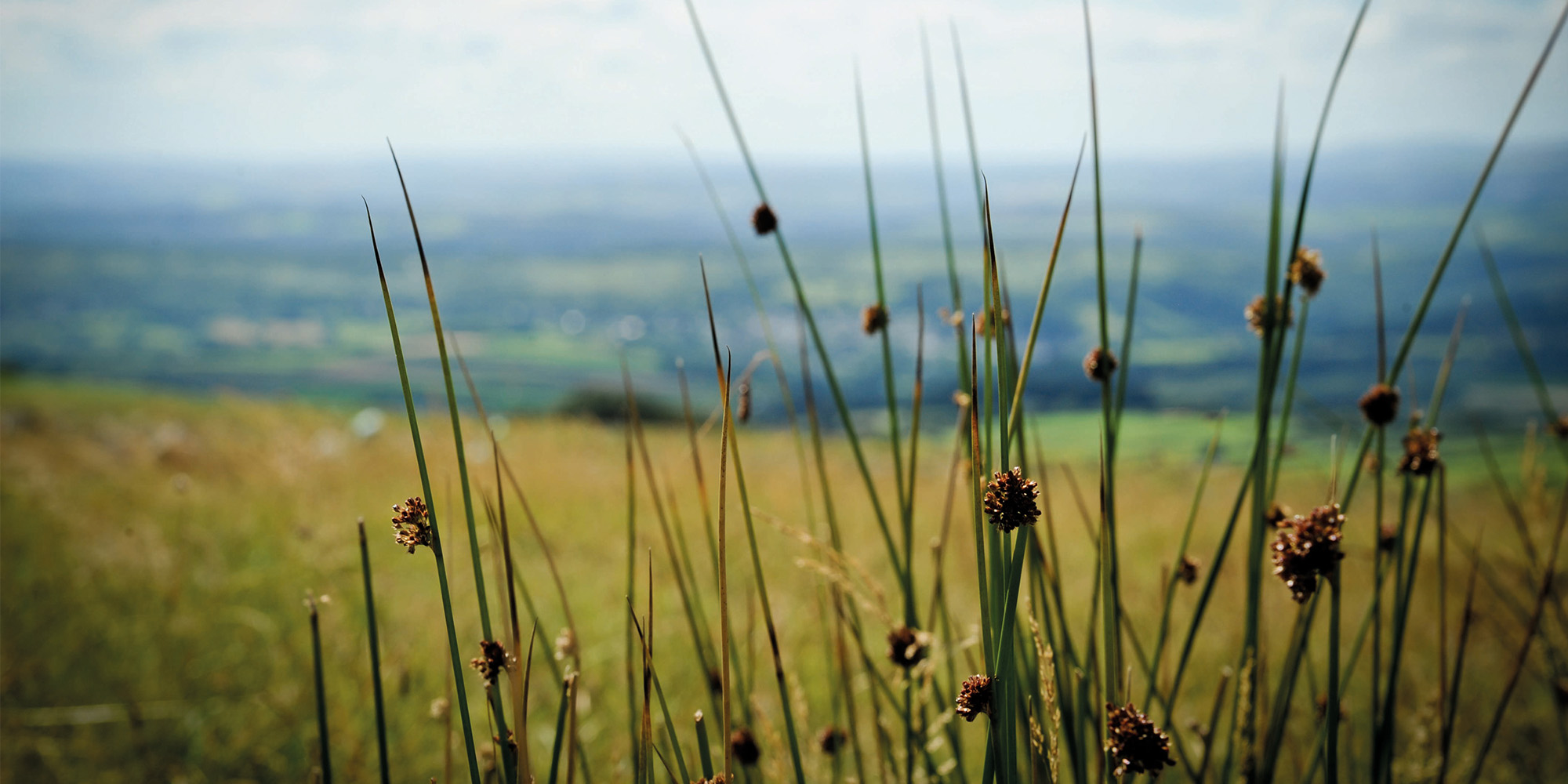 A rural paradise at Badgers Holt | Devon Living